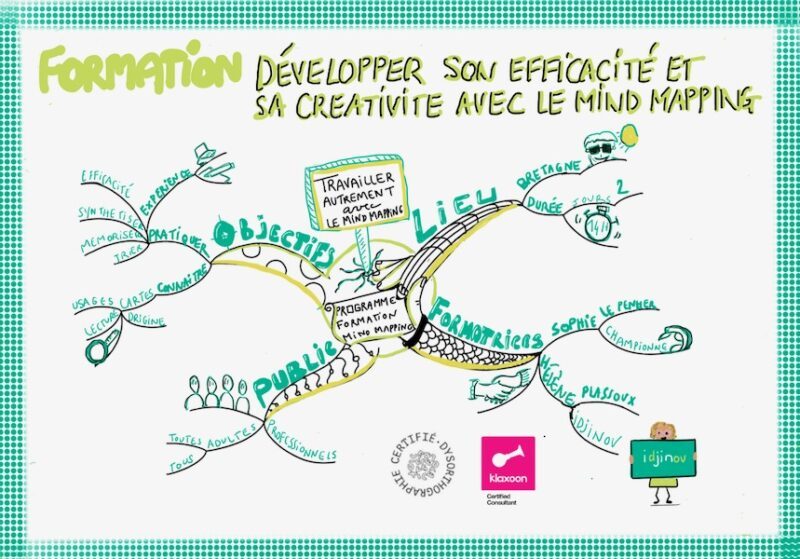 Travailler autrement avec le Mind Mapping : développer son efficacité et sa créativité - idjinov